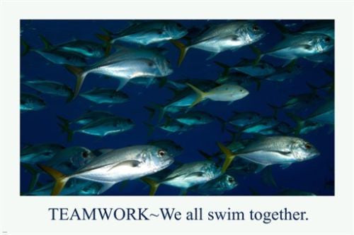 School Of Fish MOTIVATIONAL POSTER 24X36 Teamwork LEADERSHIP achieveme ...