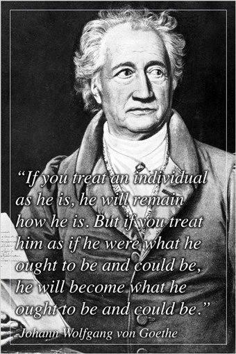 johann wolfgang von goethe GERMAN WRITER inspiring QUOTE POSTER 24X36 ...